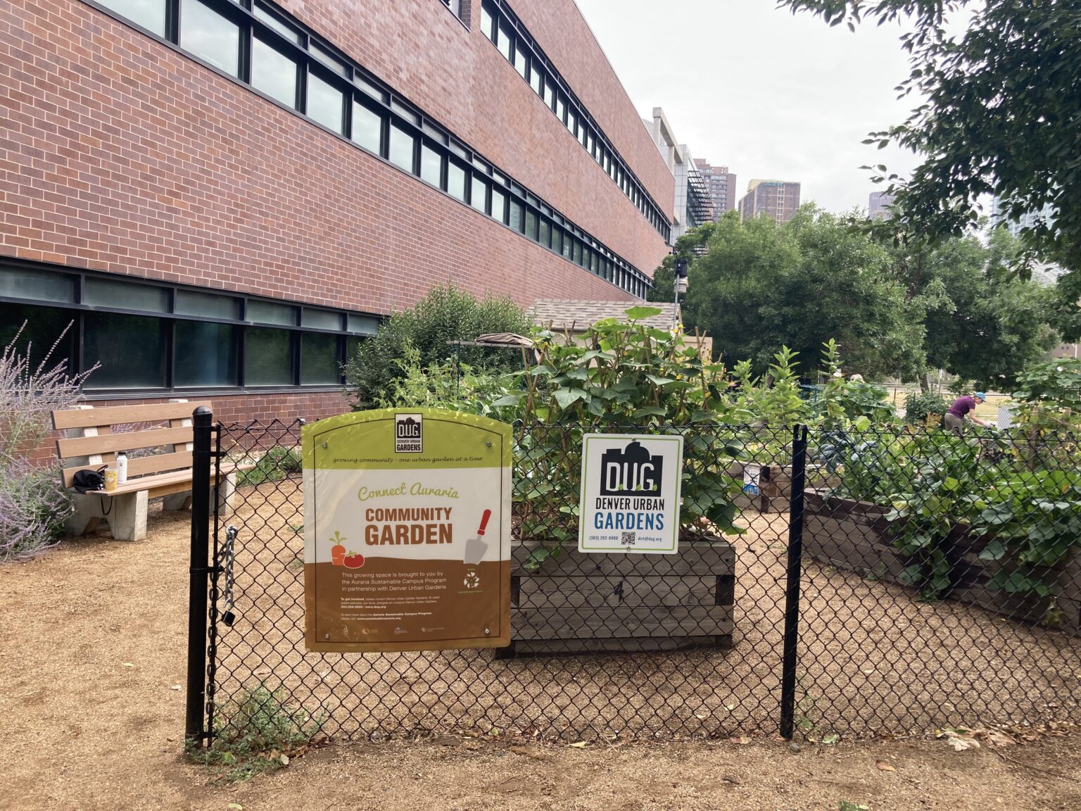 Our 2022 Impact Report is Out - Denver Urban Gardens