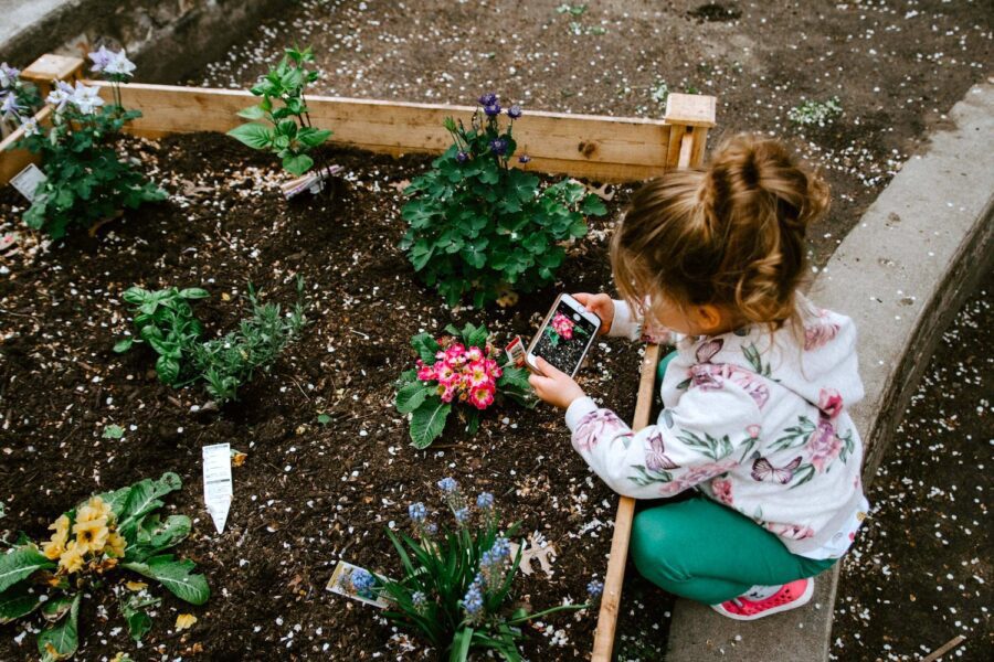 Education & Engagement - Denver Urban Gardens