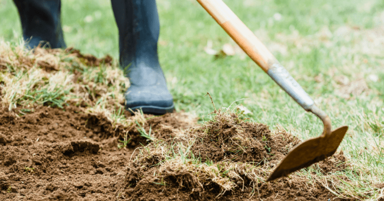 City and County of Denver Compost - Denver Urban Gardens