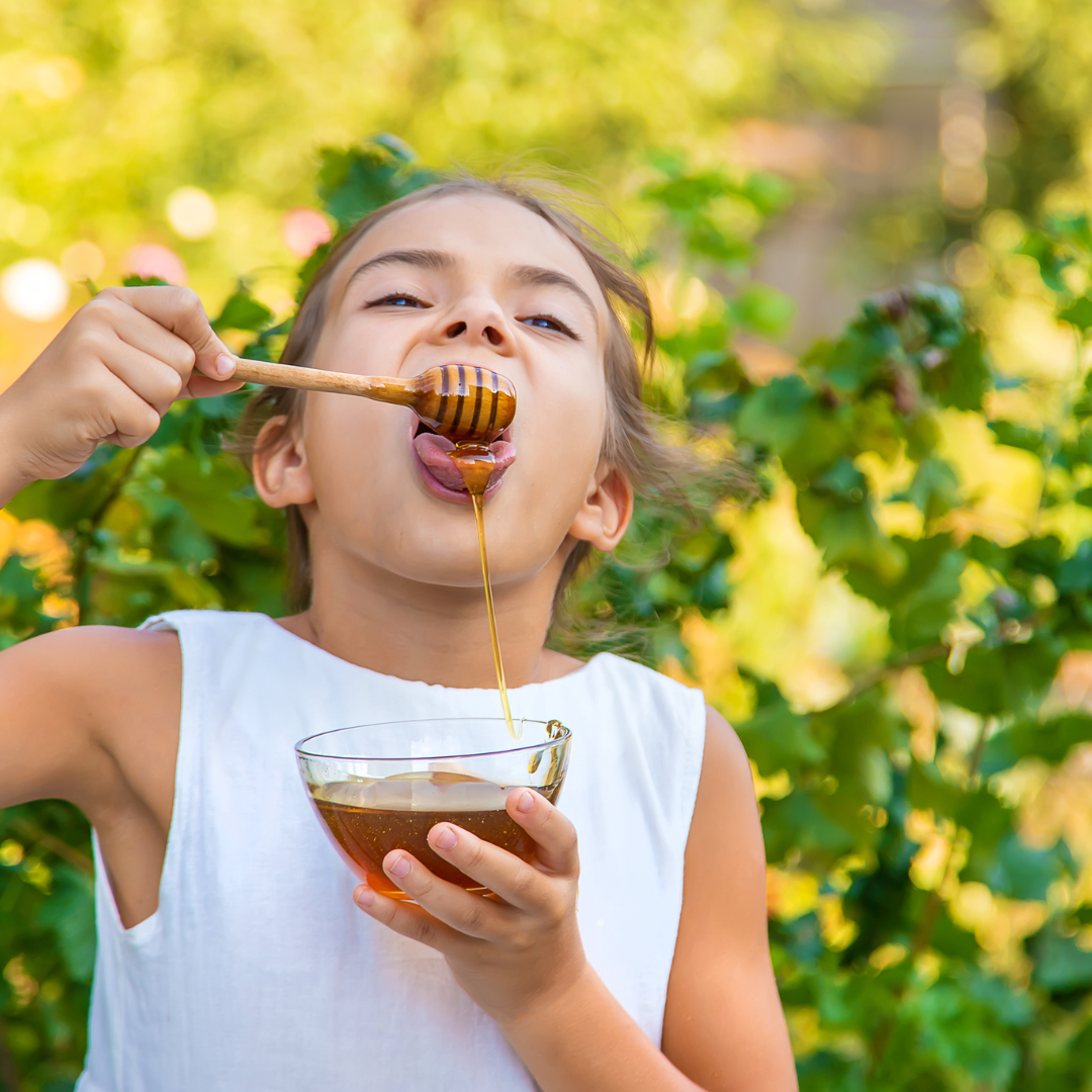From Hive to Honey: A Honey Collecting Experience - Denver Urban Gardens