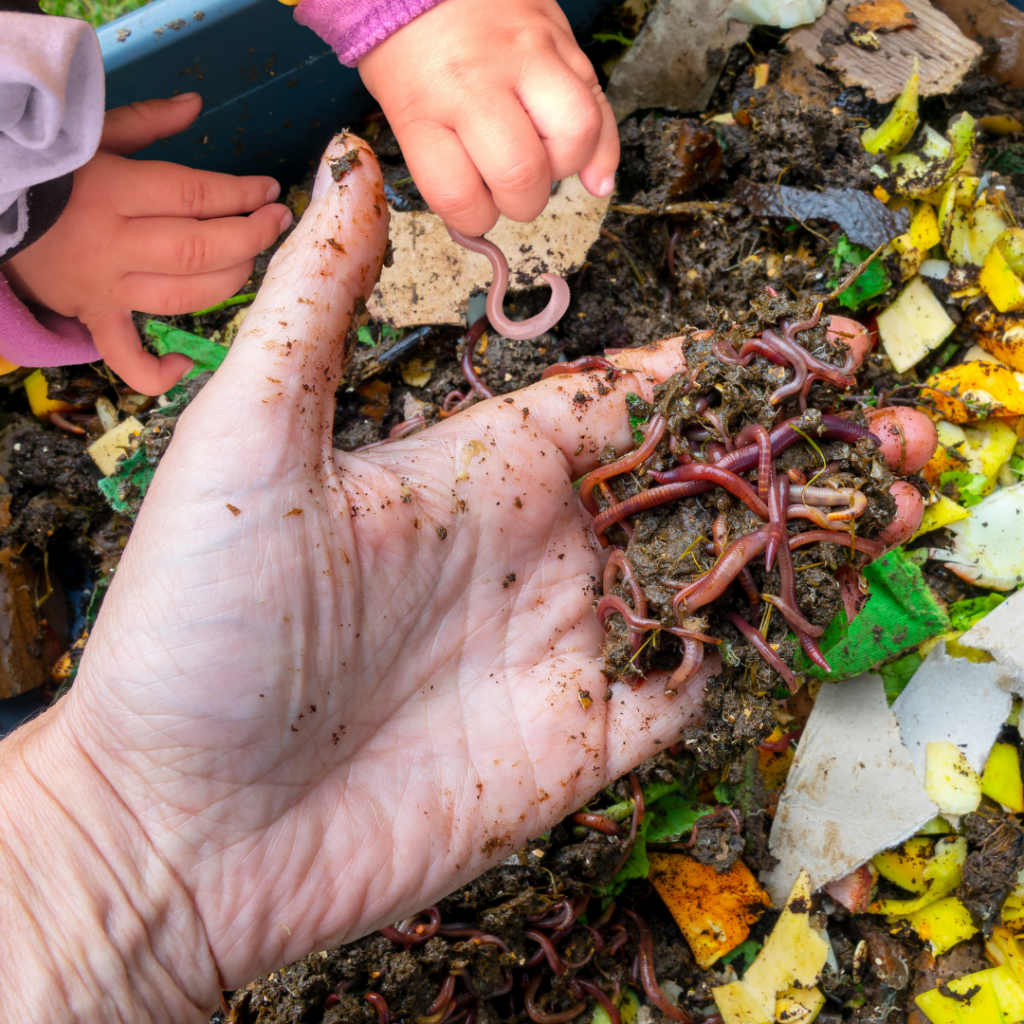 [WAITLIST ONLY] Wiggly Worms: Make + Take Worm Bin - Denver Urban Gardens