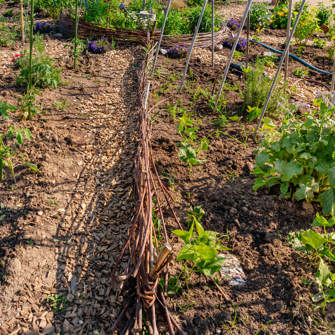 [SOLD OUT] Planning Your Garden - Denver Urban Gardens