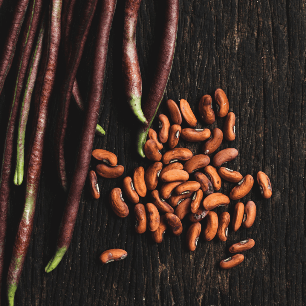 Seed Saving - Denver Urban Gardens