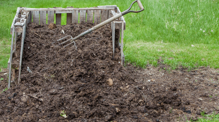 Denver Urban Gardens | Community Gardens & Food Access