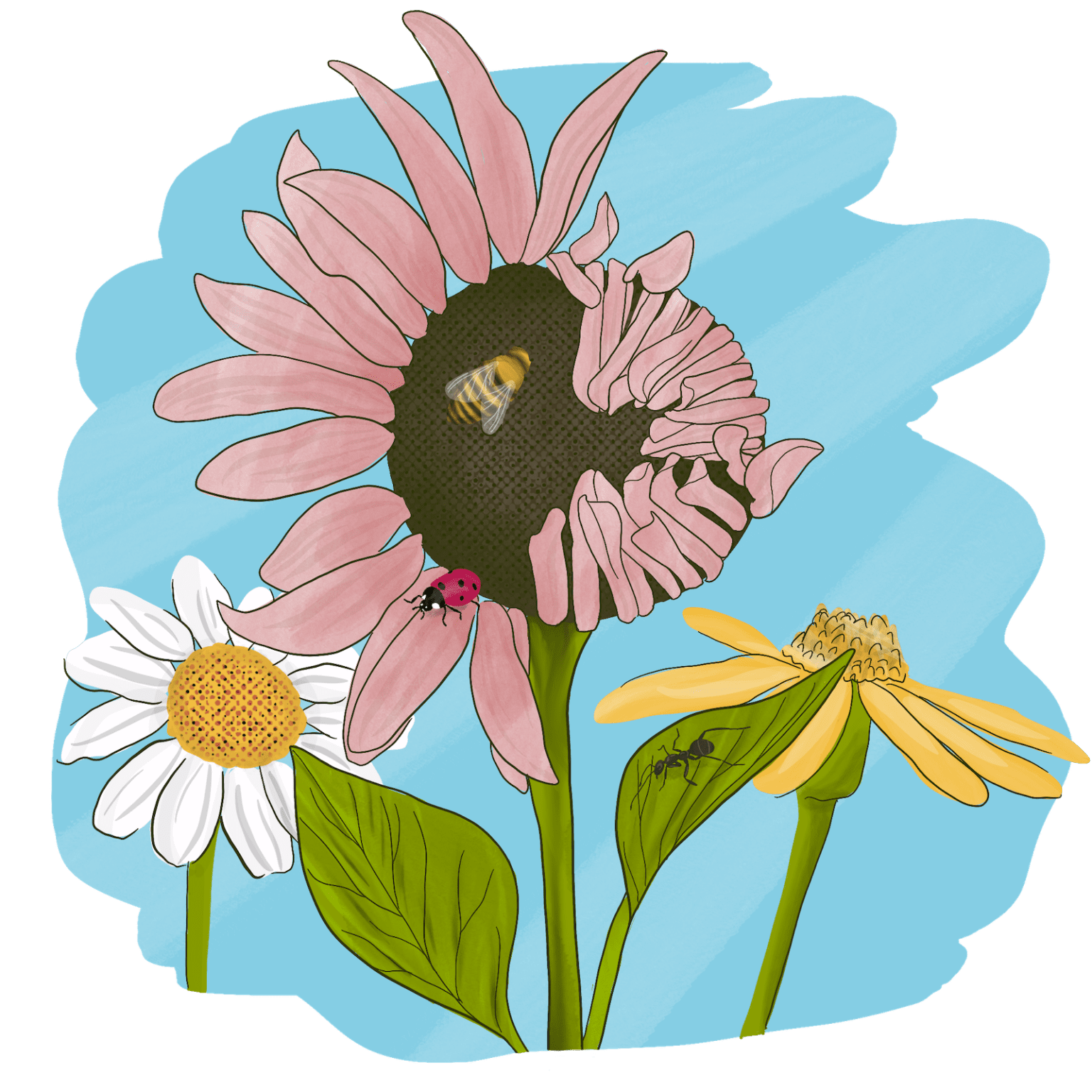 Education & Engagement - Denver Urban Gardens