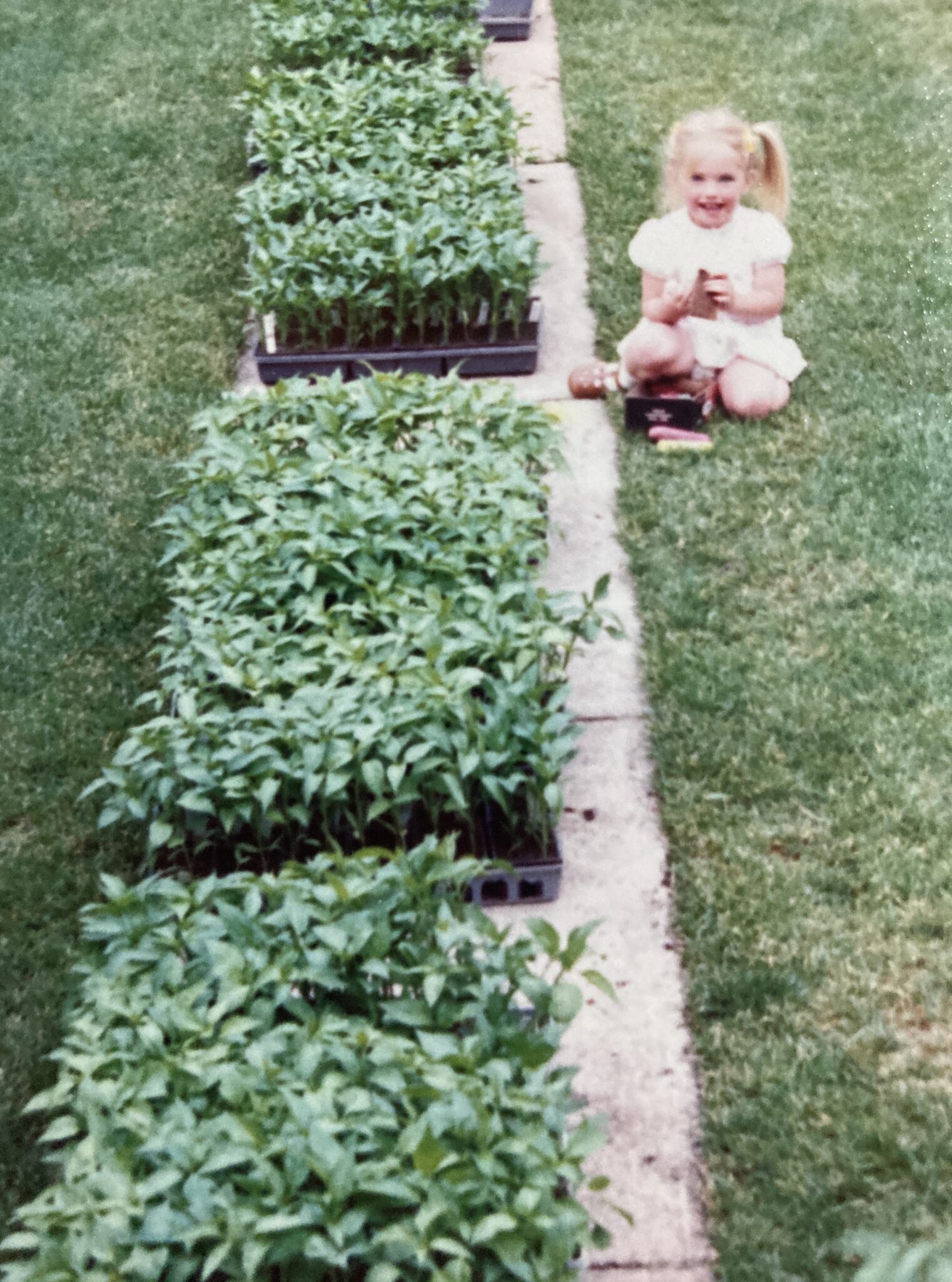 Homepage - Denver Urban Gardens