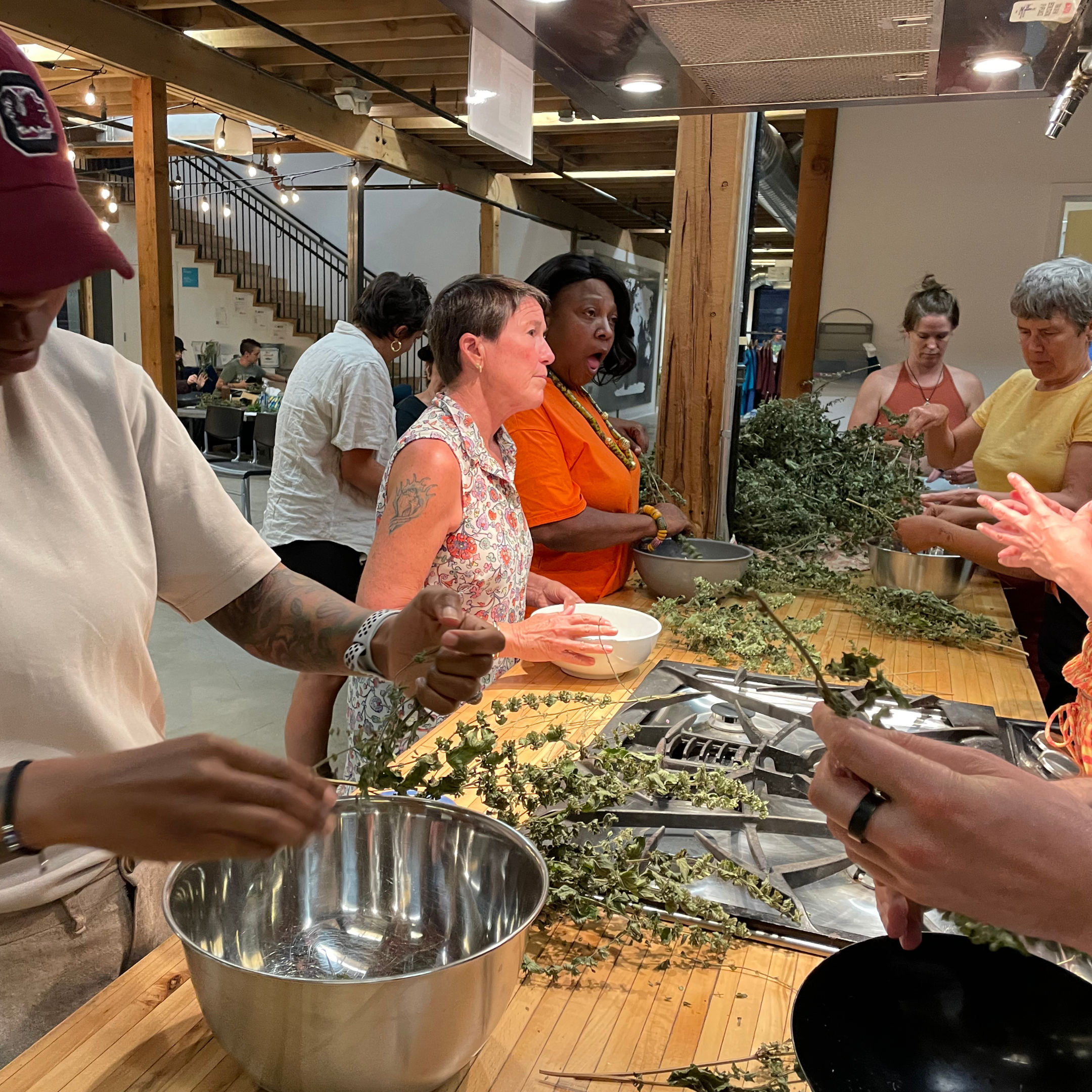 Harvesting & Processing Medicinal Herbs - Denver Urban Gardens